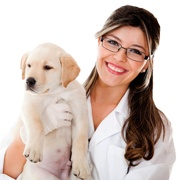 Dr Maria Doe – Global Animal Health